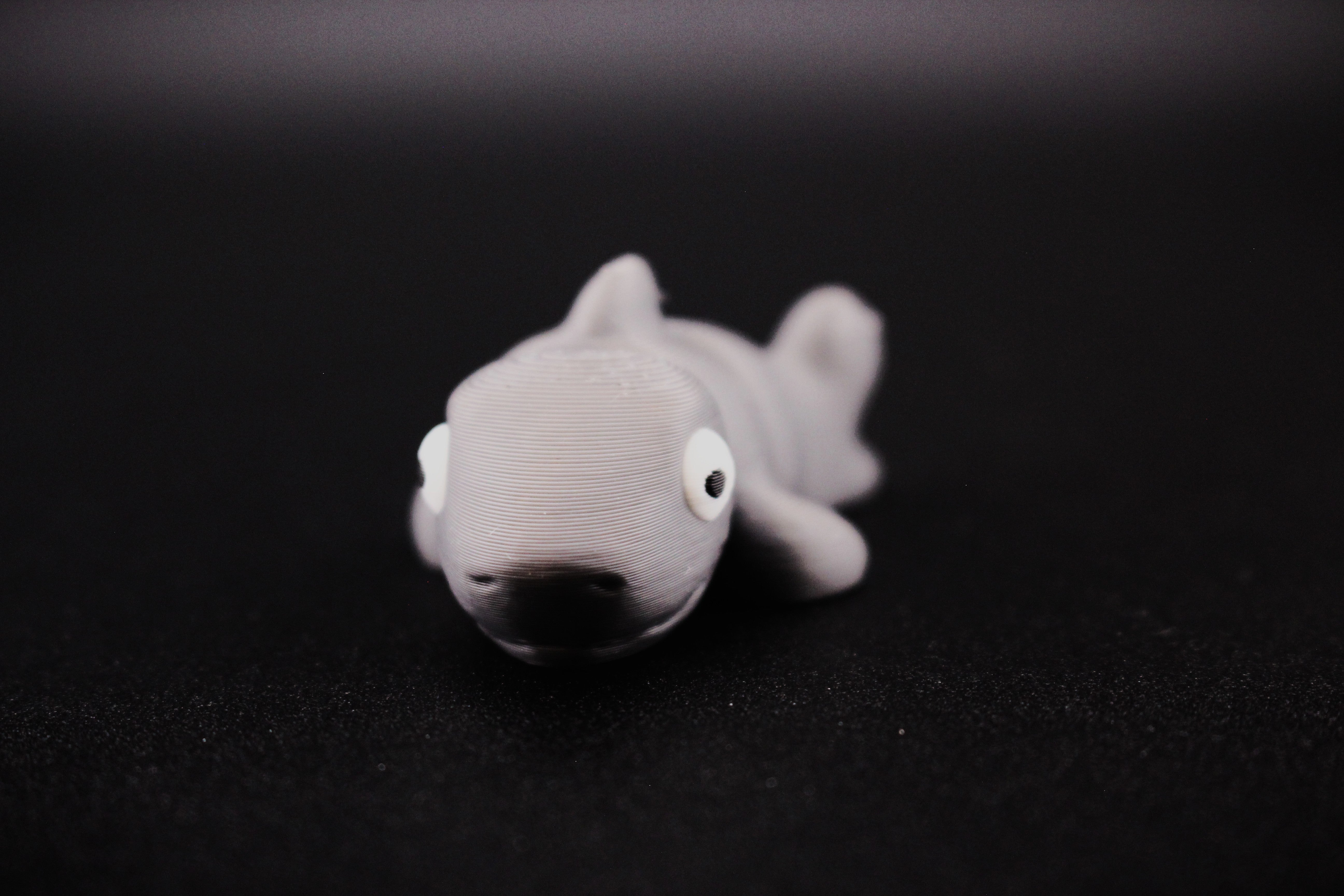 Shark – Layered Designs